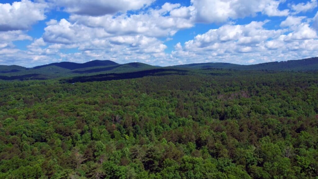 Georgia's Chattahoochee–Oconee National Forest | Pictures & Video ...