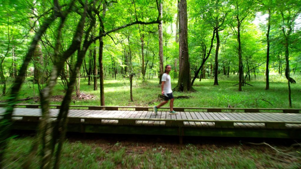 Hiking Congaree Forest | Best Trail Near Columbia South Carolina ...